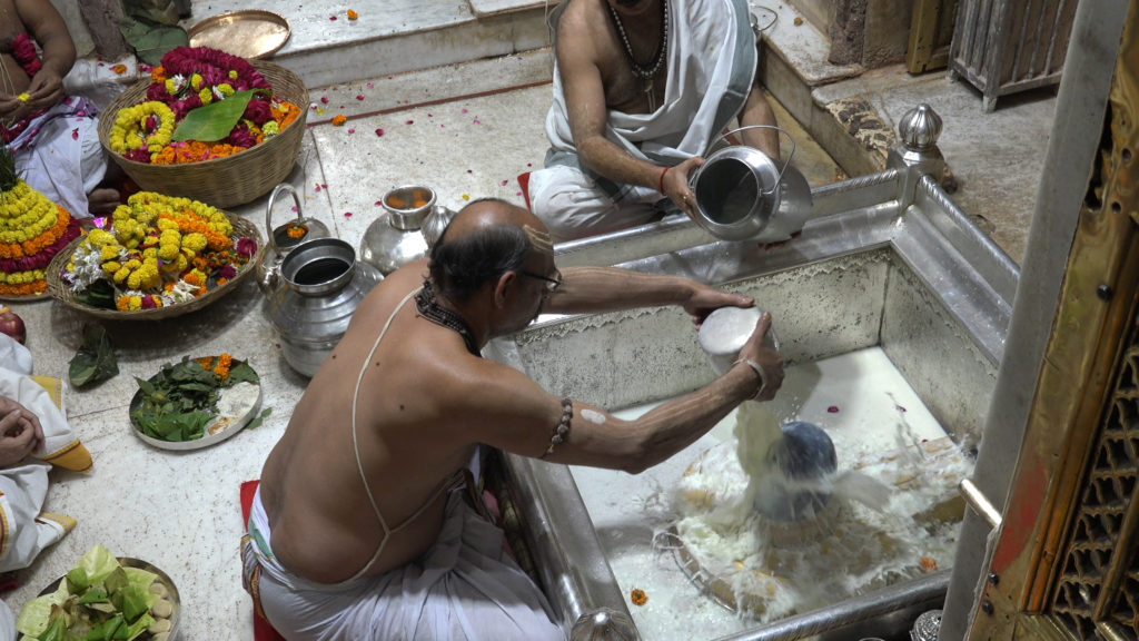Shayan Aarti at Kashi Vishwanath - India Briefings