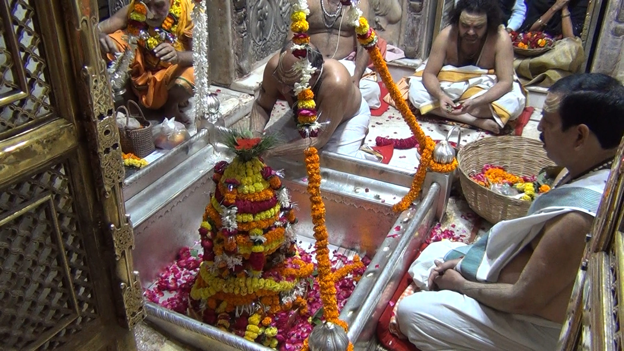 Saptarishi Aarti at Kashi Vishwanath - India Briefings